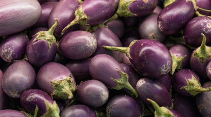 The Marvelous Health Benefits Of Brinjal: Unlocking Nature's Secrets ...