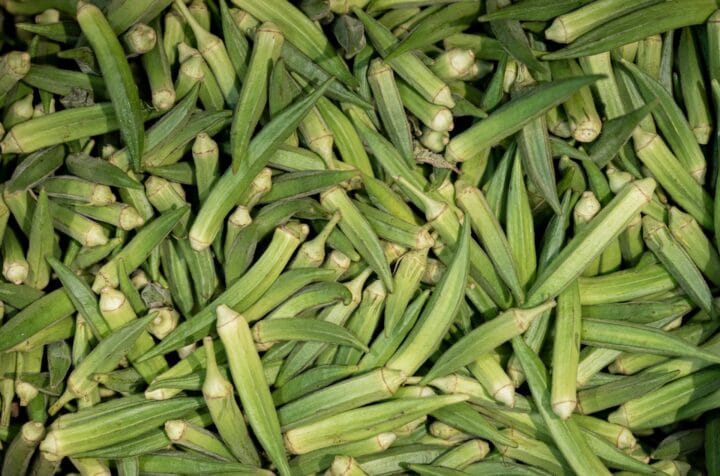 Unlocking The Secrets Of Lady Finger: Amazing Health Benefits You Need ...