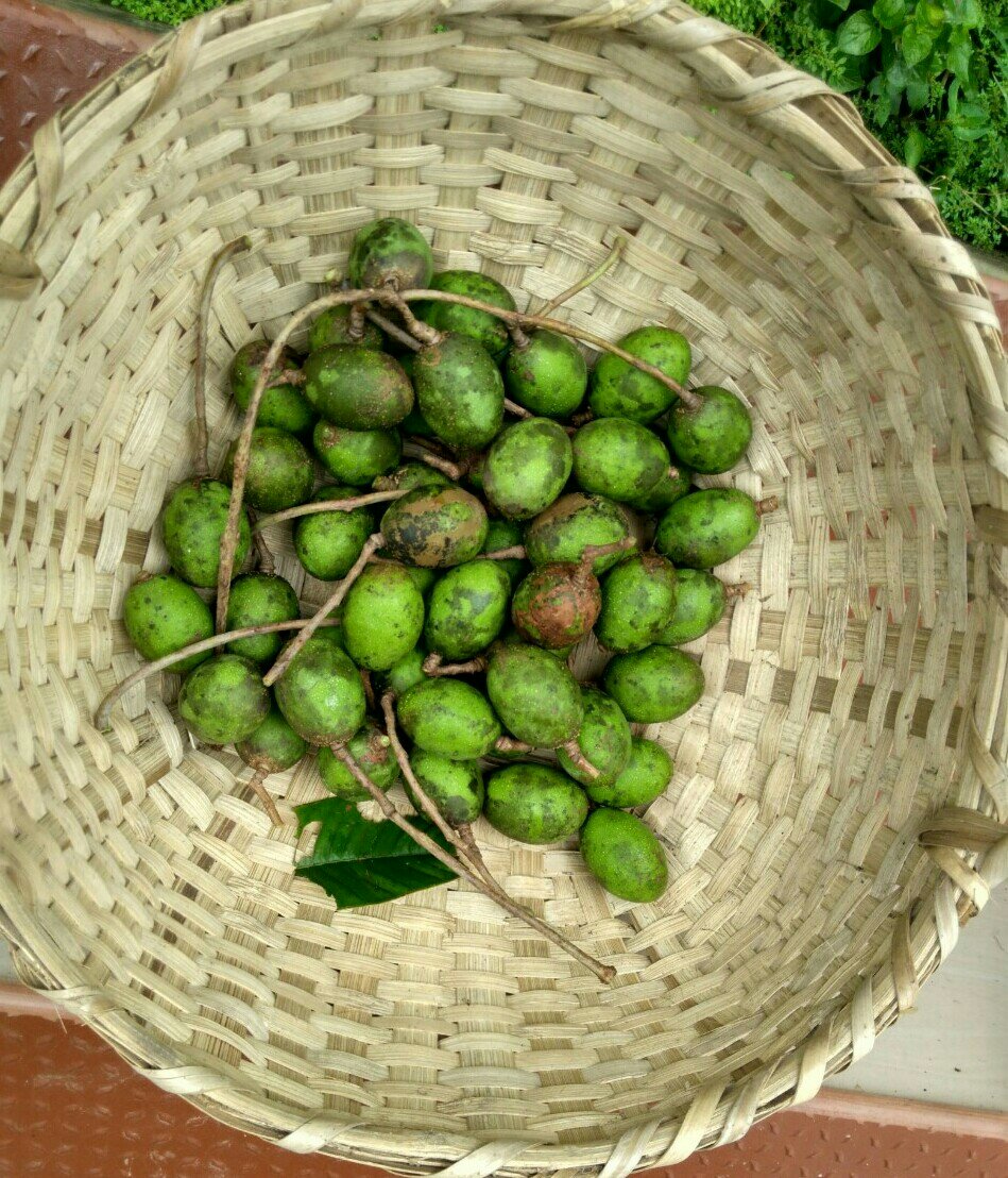 Unveiling The Health Wonders Of Hog Plum: A Nutrient-Packed Delight ...